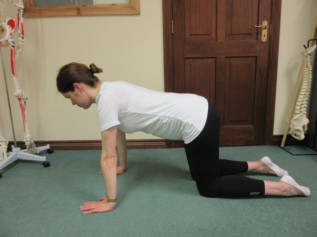 Cat Cow Exercise for Pelvic Girdle Pain